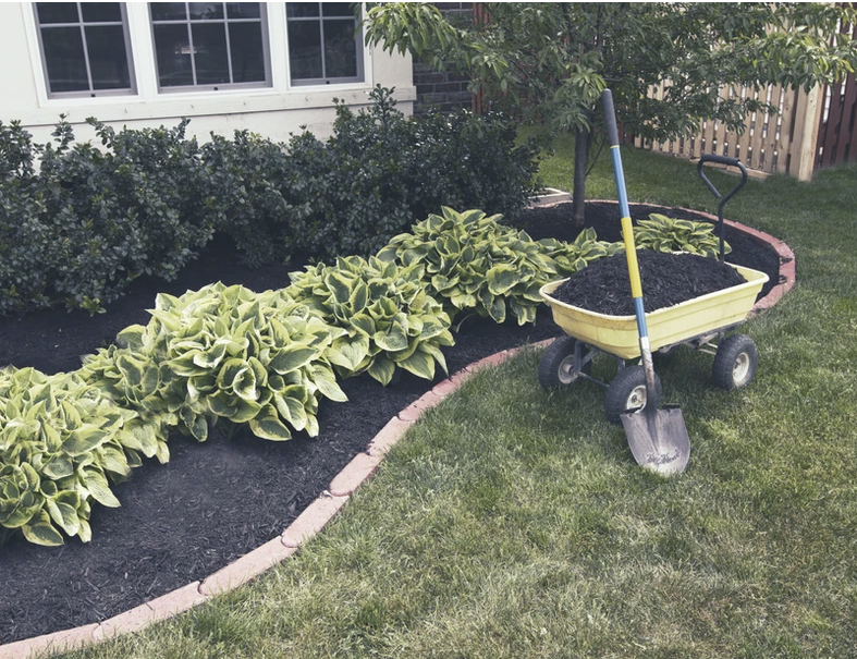 Gallery - Jay V Landscaping